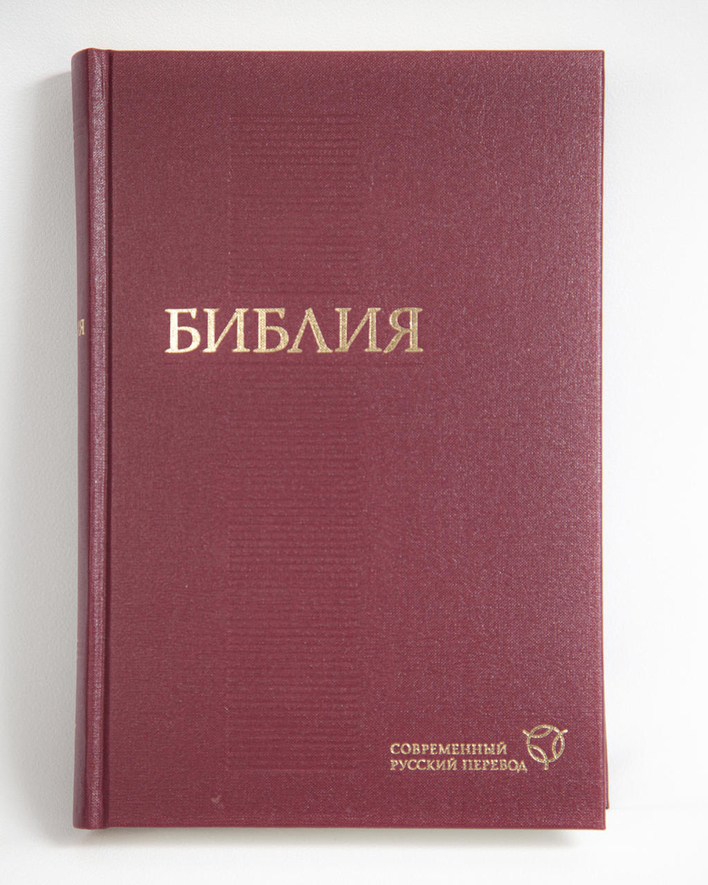 Eesti Piibliseltsi koduleht – Muu keelsed Piiblid