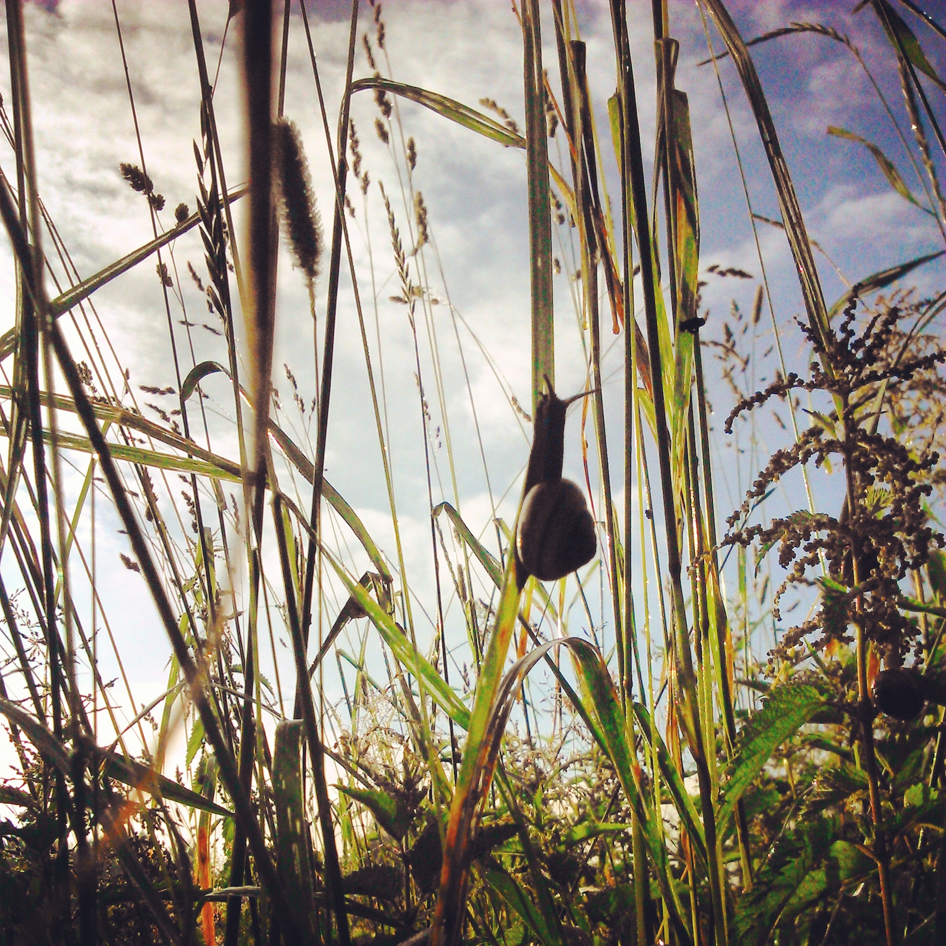 National Park — Mardu