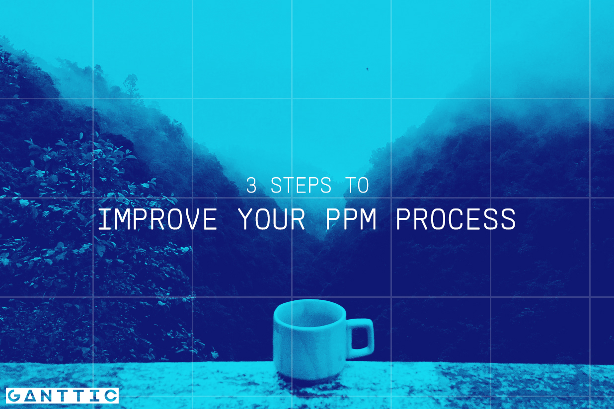 3 Steps to Effective Project Portfolio Management Process - Ganttic