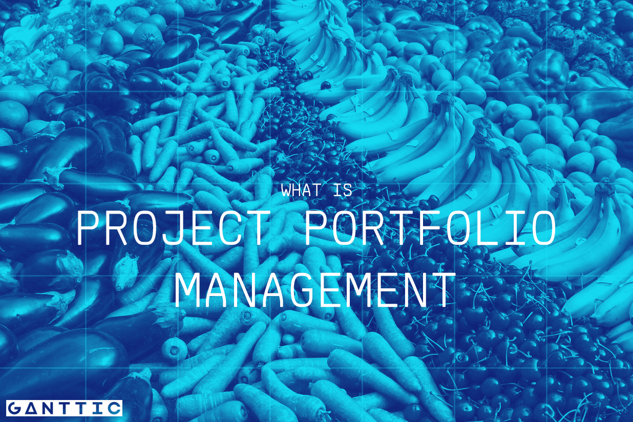 What is Project Portfolio Management? - Ganttic