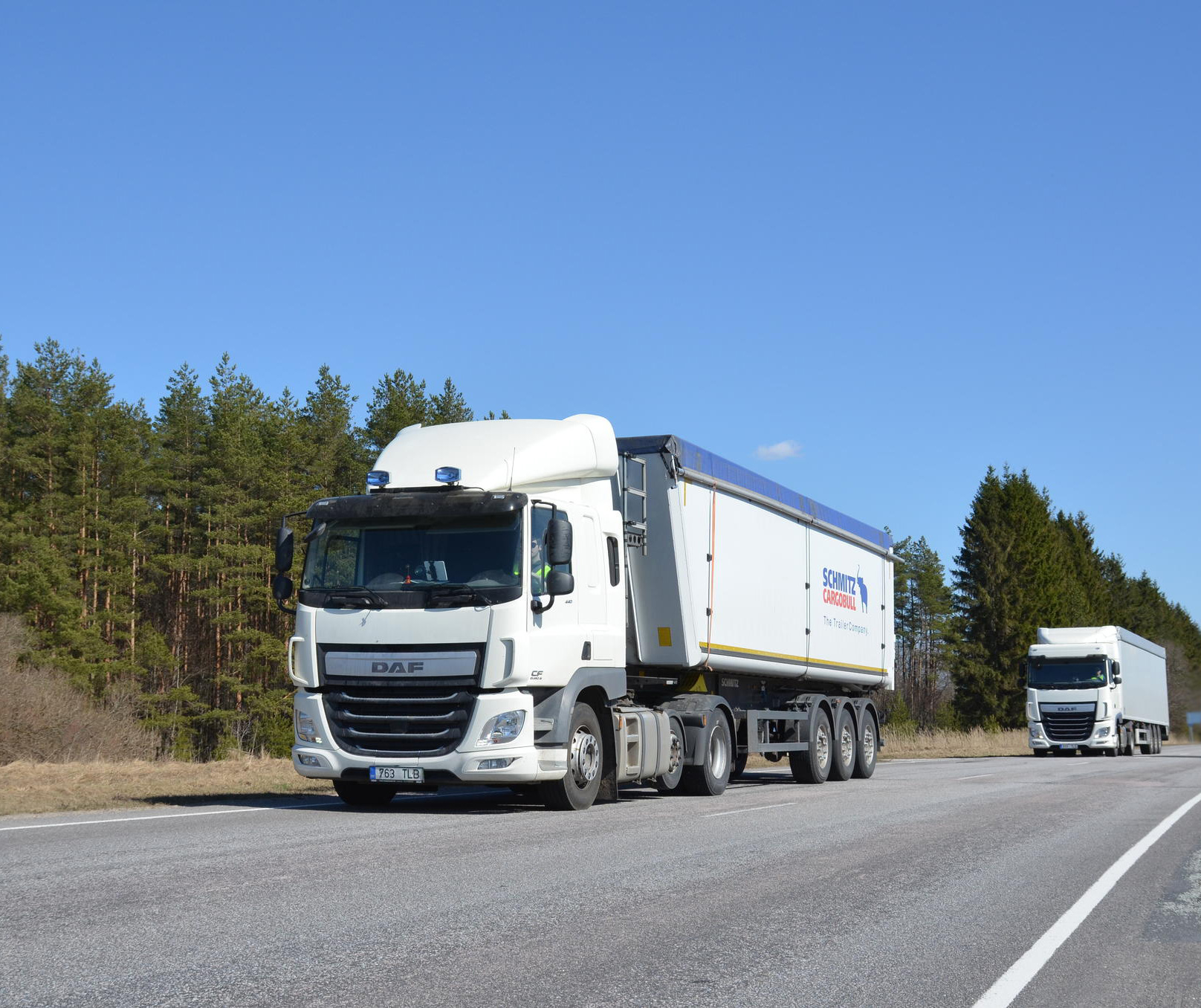 Eesti-sisene transport — Alpter