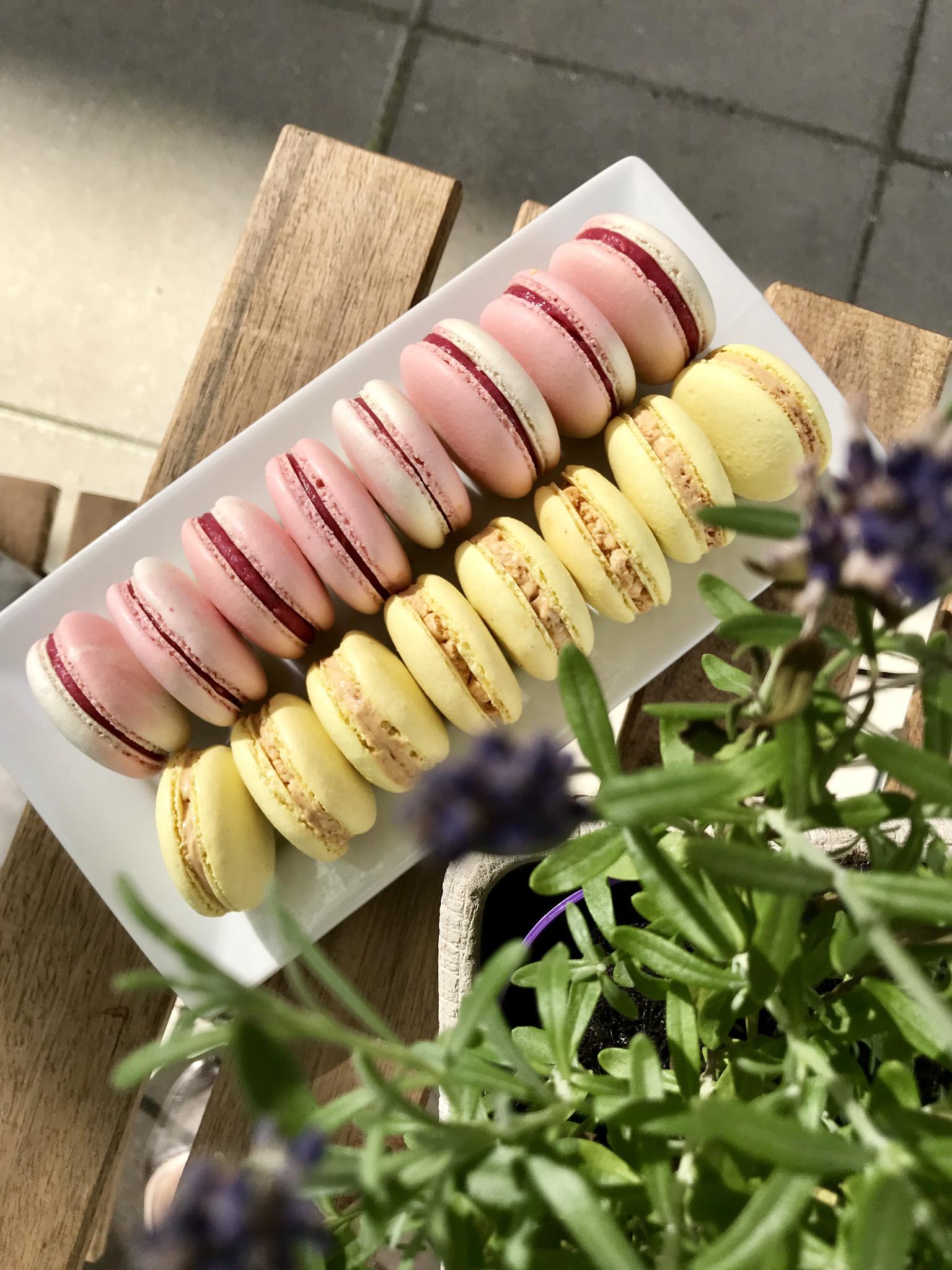 Makroonid – Tordielamusepood