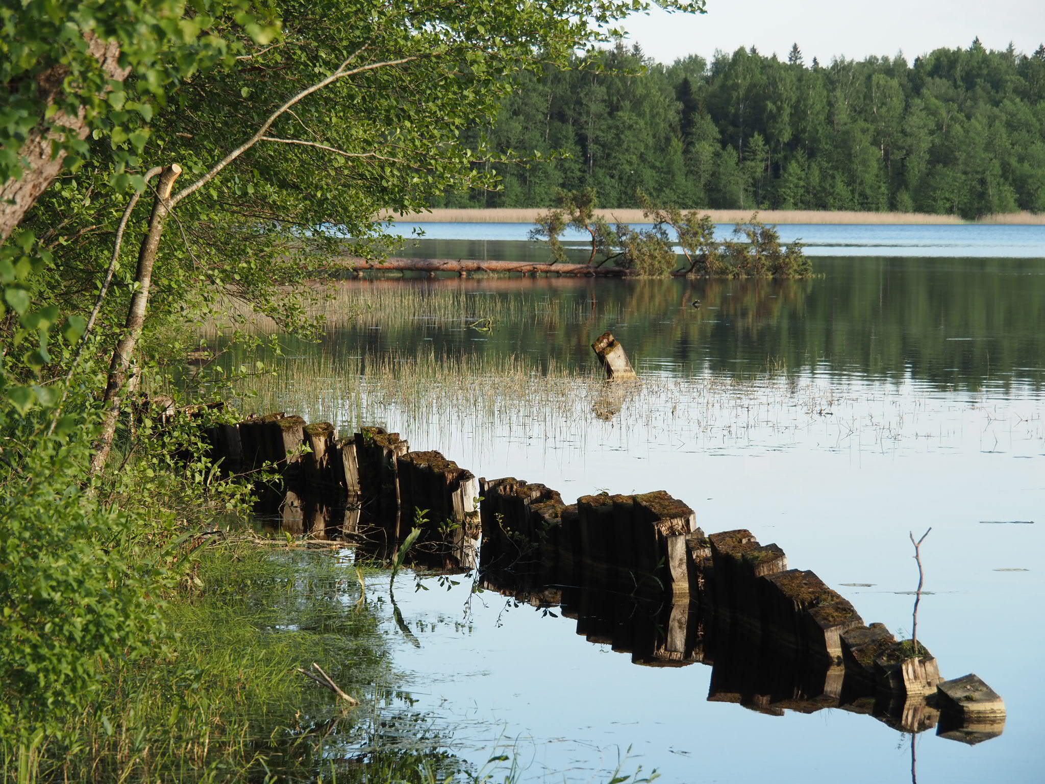 Kurtna järvestik 42 — panipaik