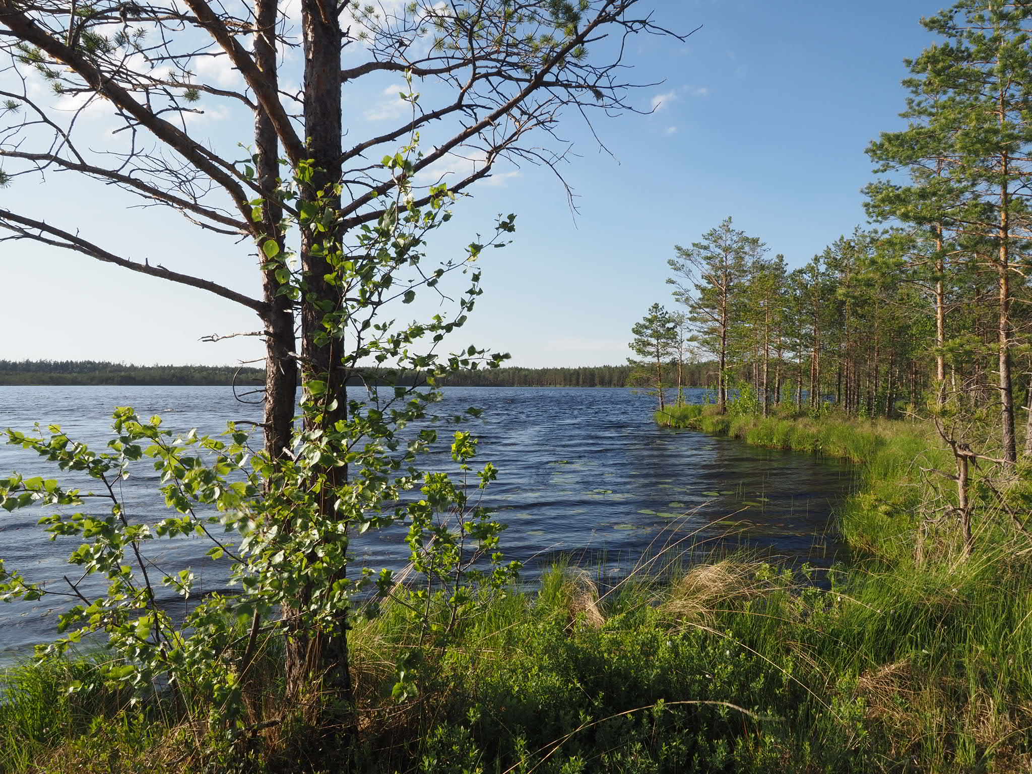 Rüütli-Agusalu — panipaik