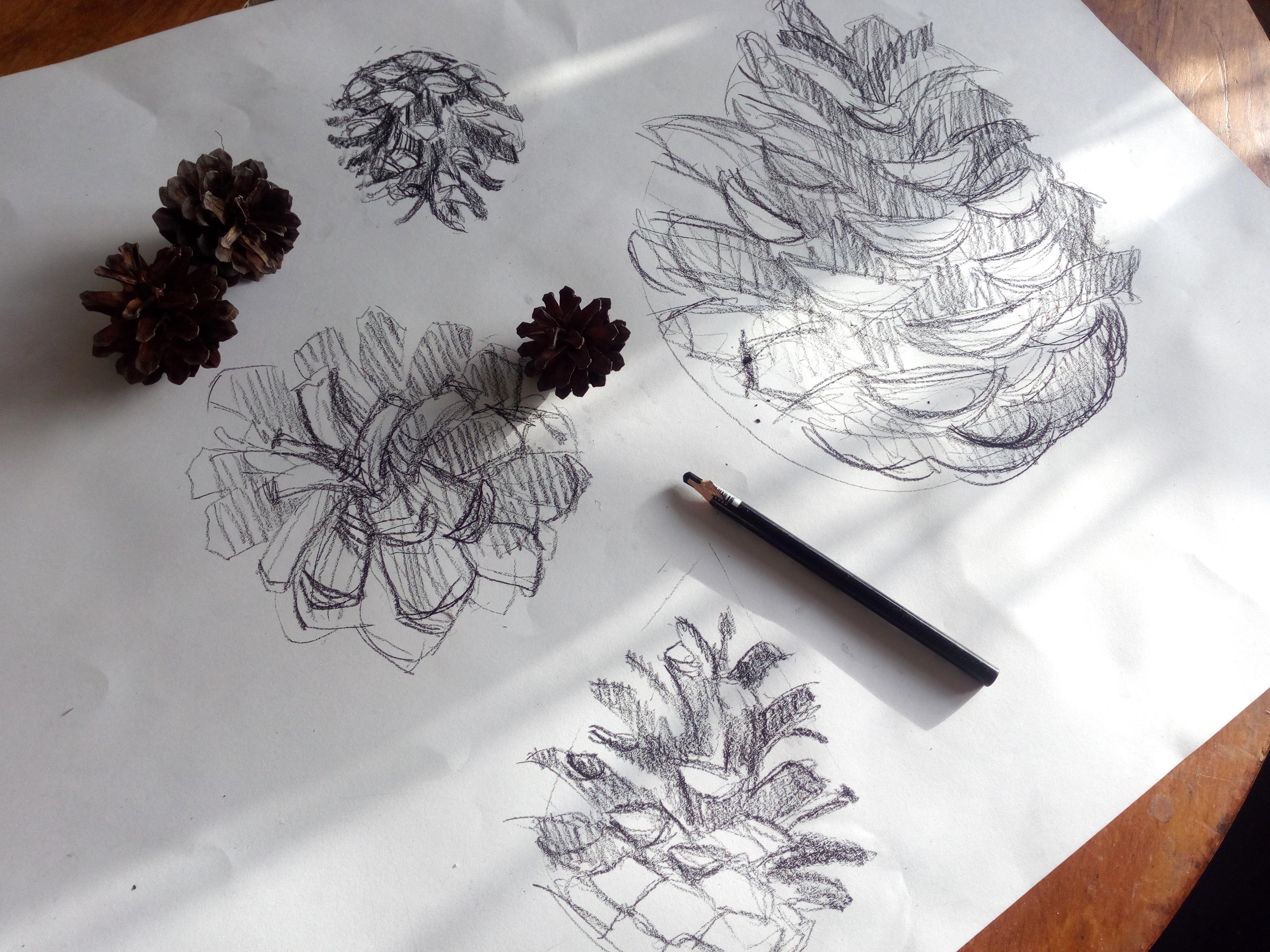 Kadi Pajupuu drawings – Kadipuu