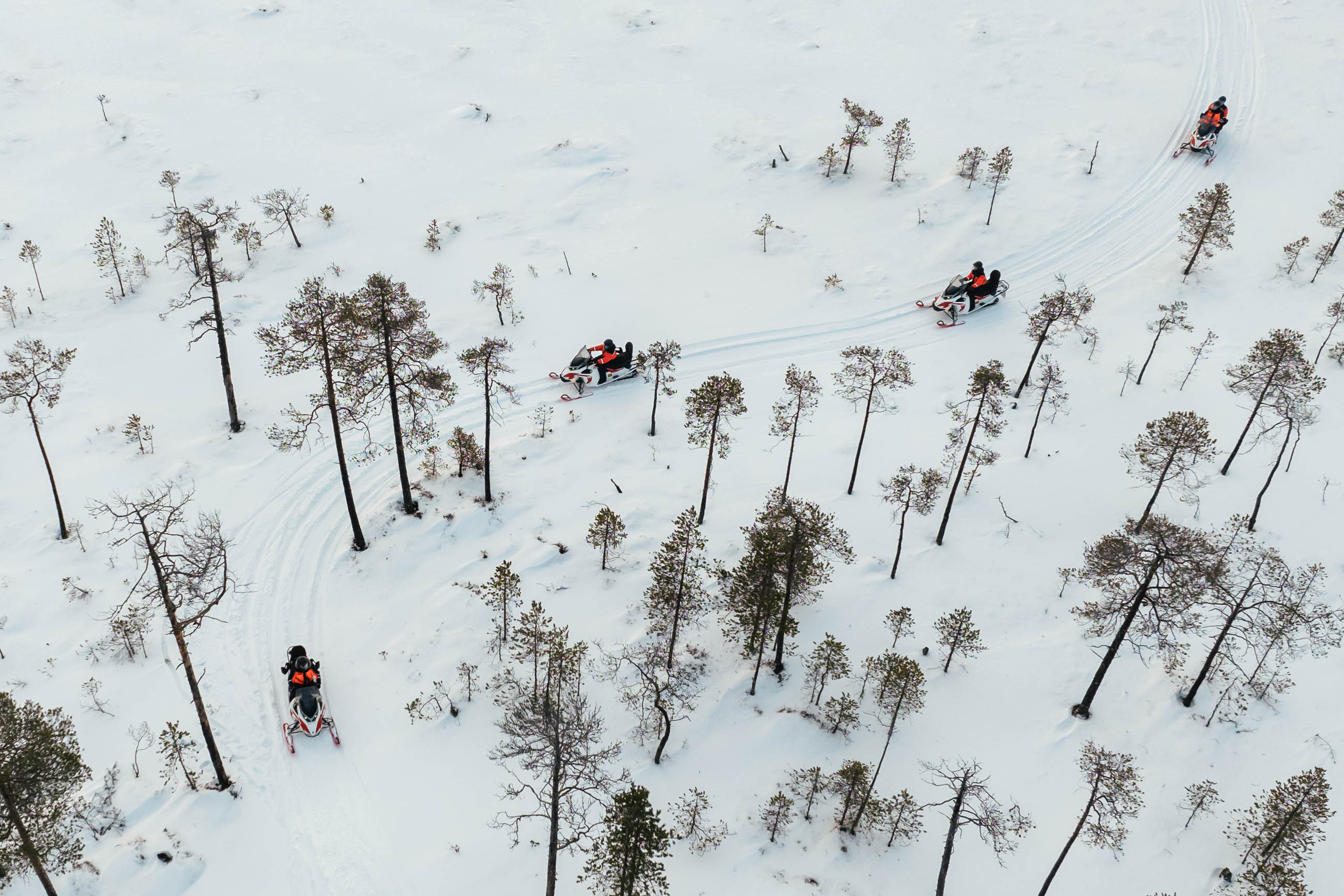 3-hour Electric Snowmobile Tour and Meet the Reindeer