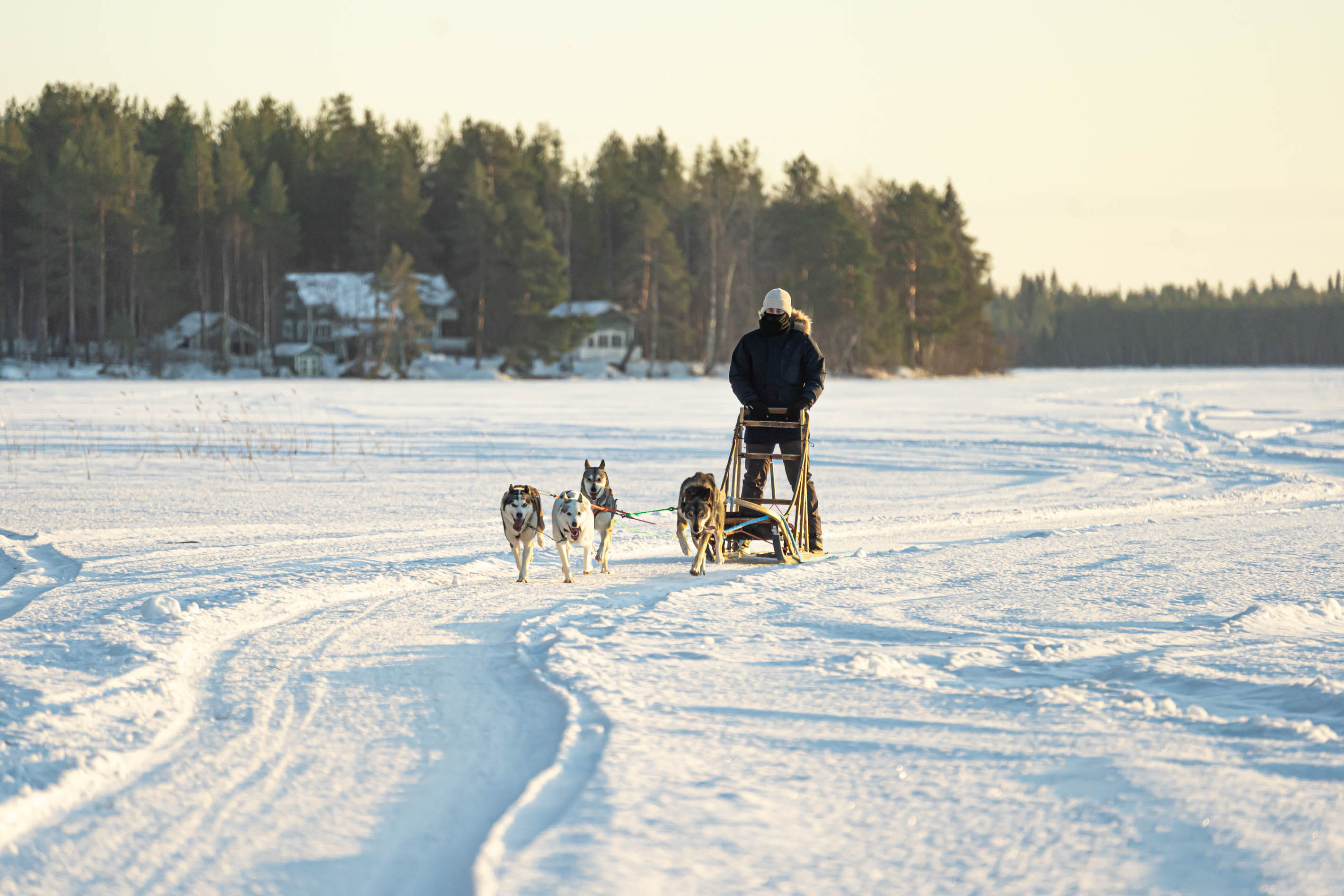 Husky adventure into Arctic wilderness