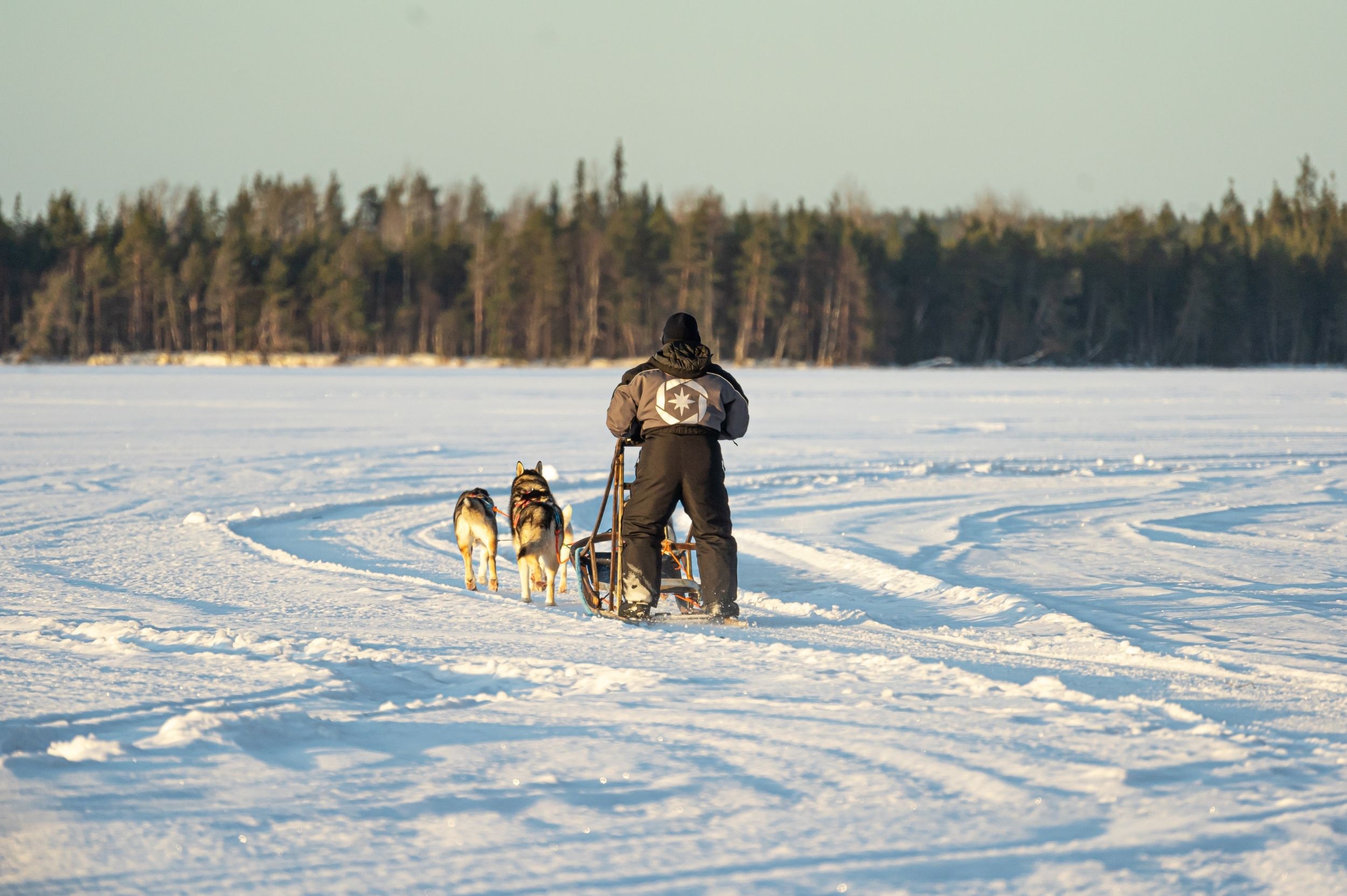Husky Adventure with 5 km Sled Ride in Levi