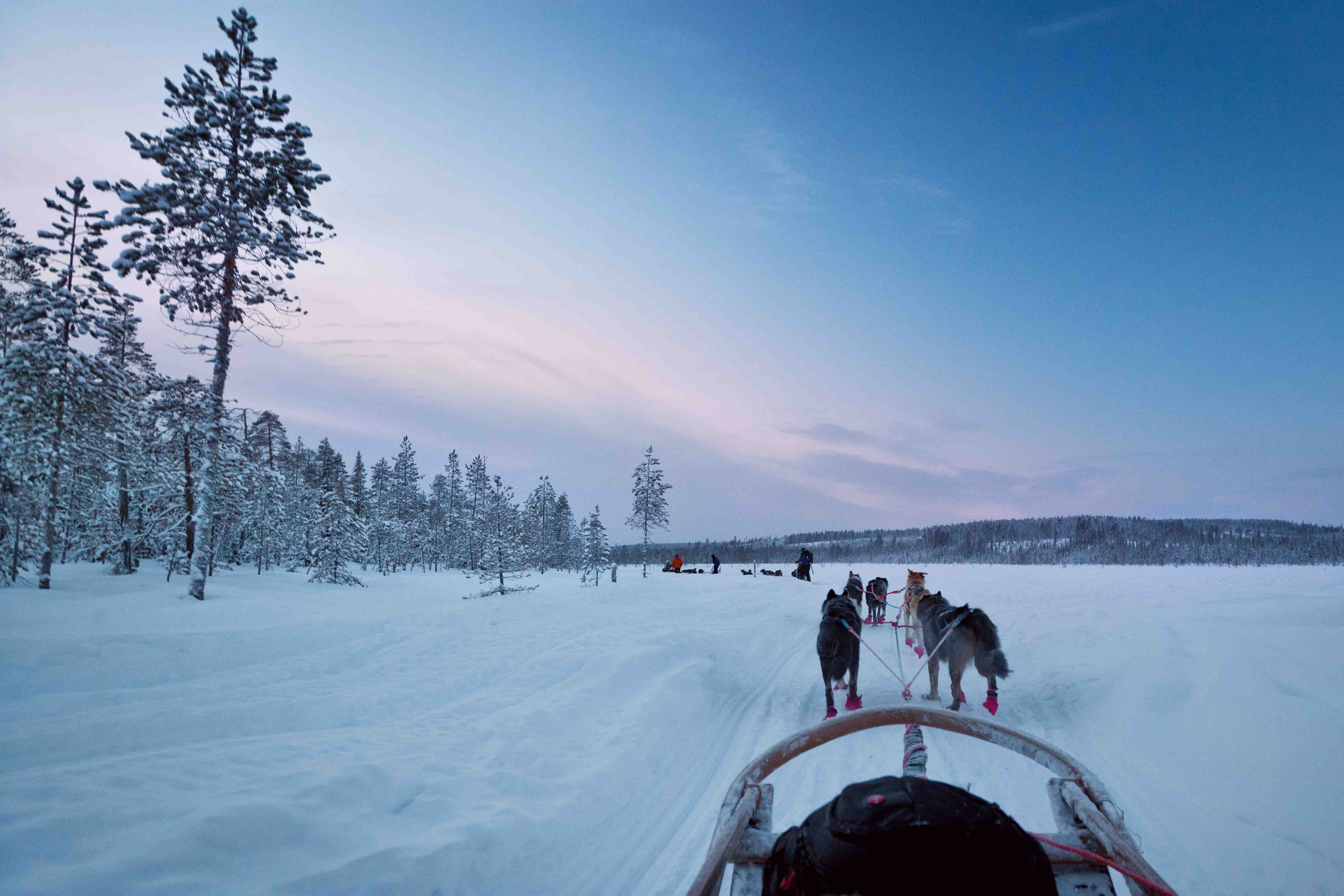 Wilderness Husky Adventure with 12-18km Husky ride