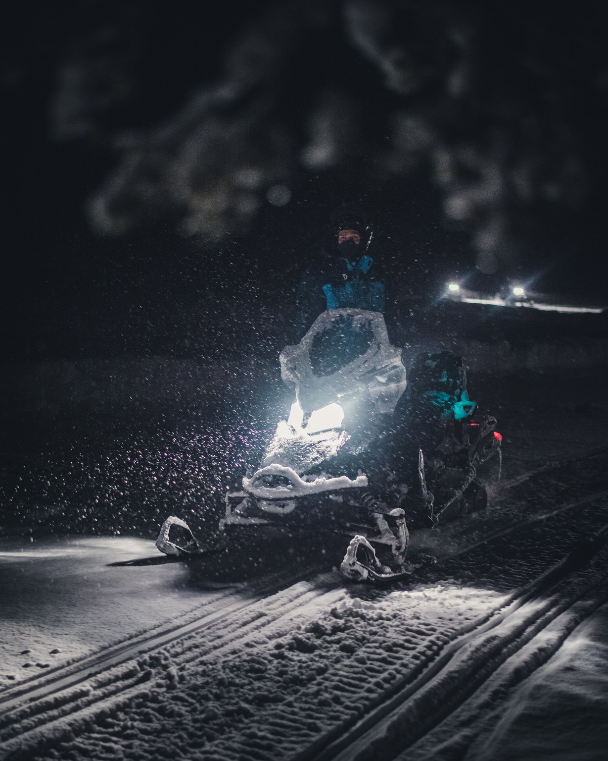 Northern Lights adventure with esleds