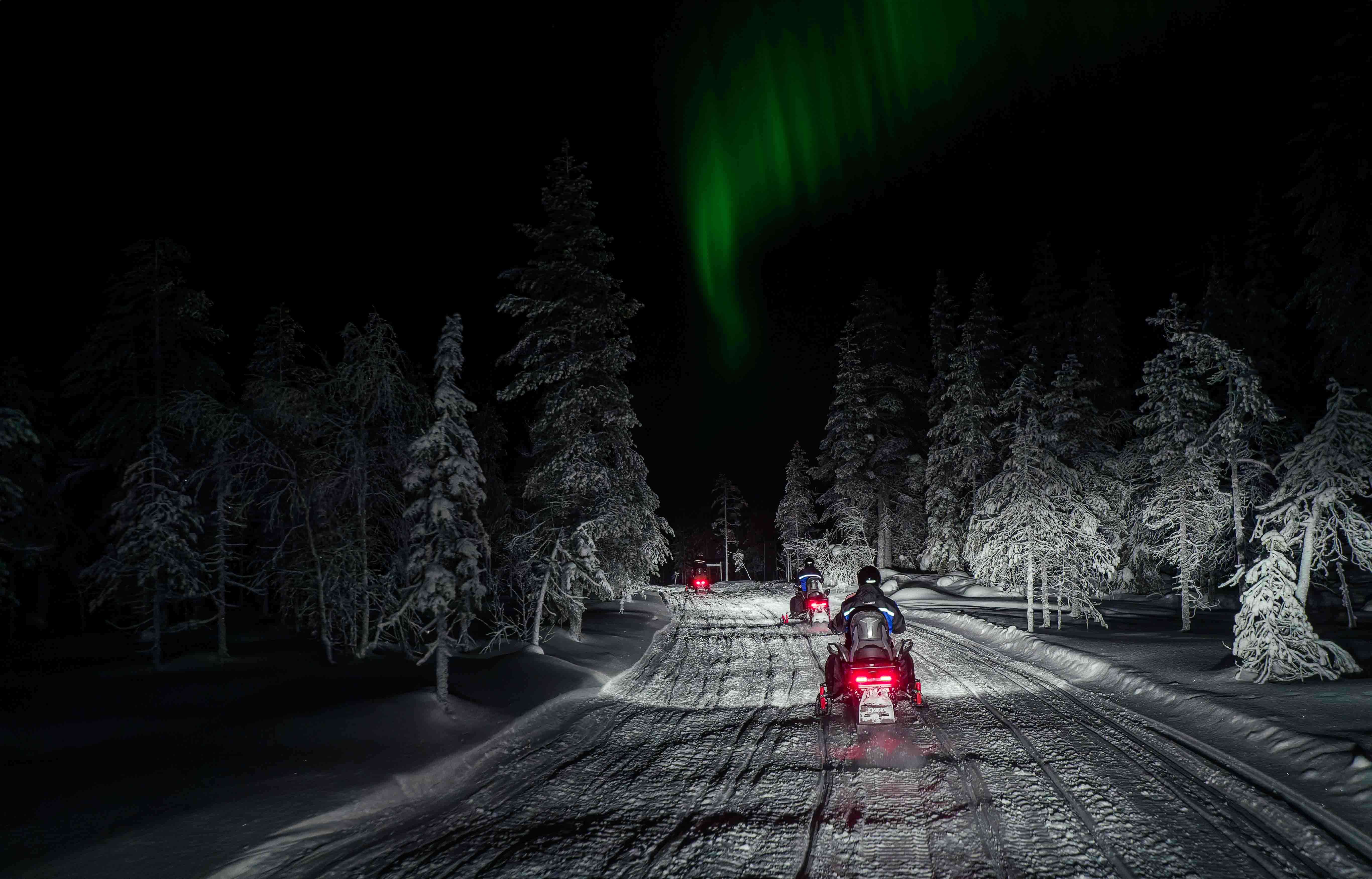 Northern Lights adventure with esleds