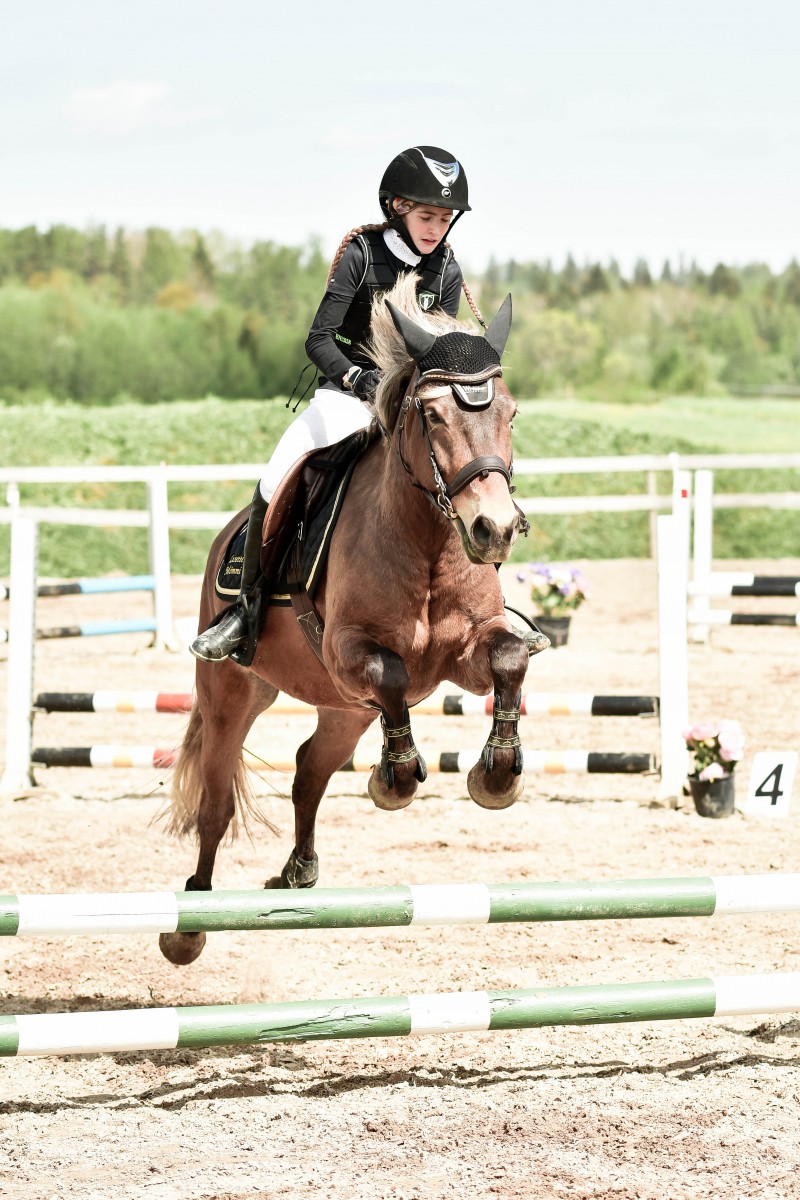 Eesti tõugu hobused – Ristija - 2016