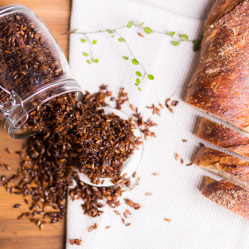 sproutgrain rye — Puratos Malt - Pure and Natural