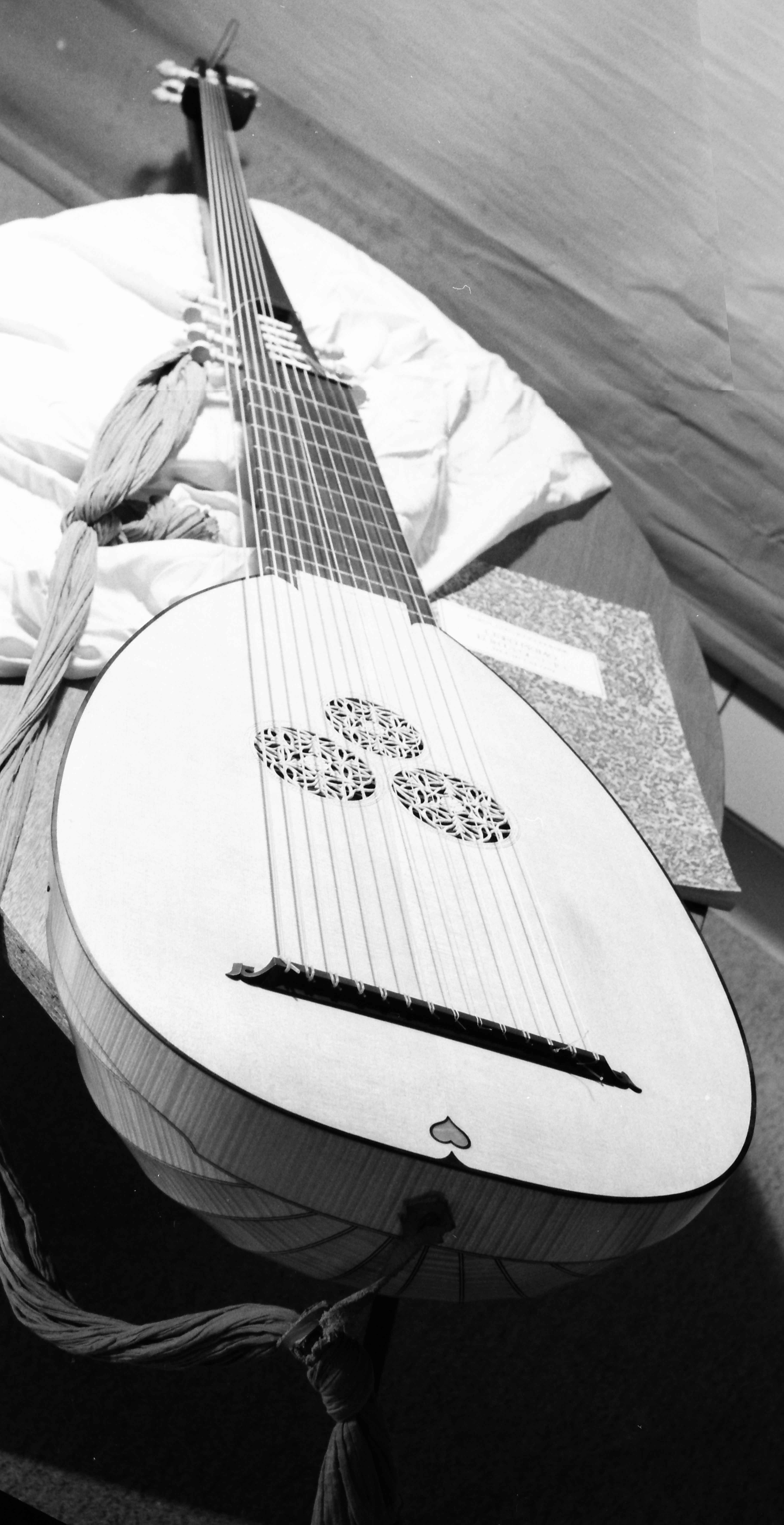 Theorbo – Larstorressen