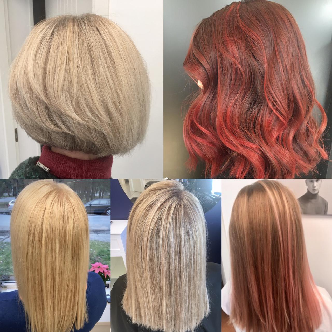 JUUKSUR – Lootuseilustuudio