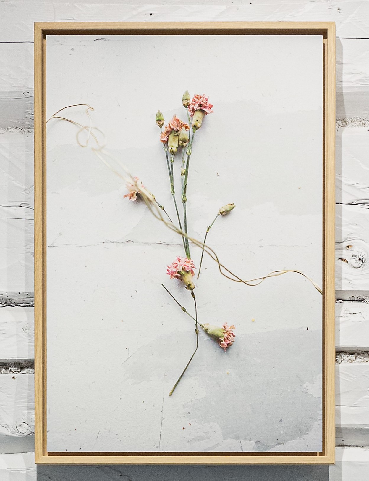 Eesti kunstnike fotode müük – Rukigalerii
