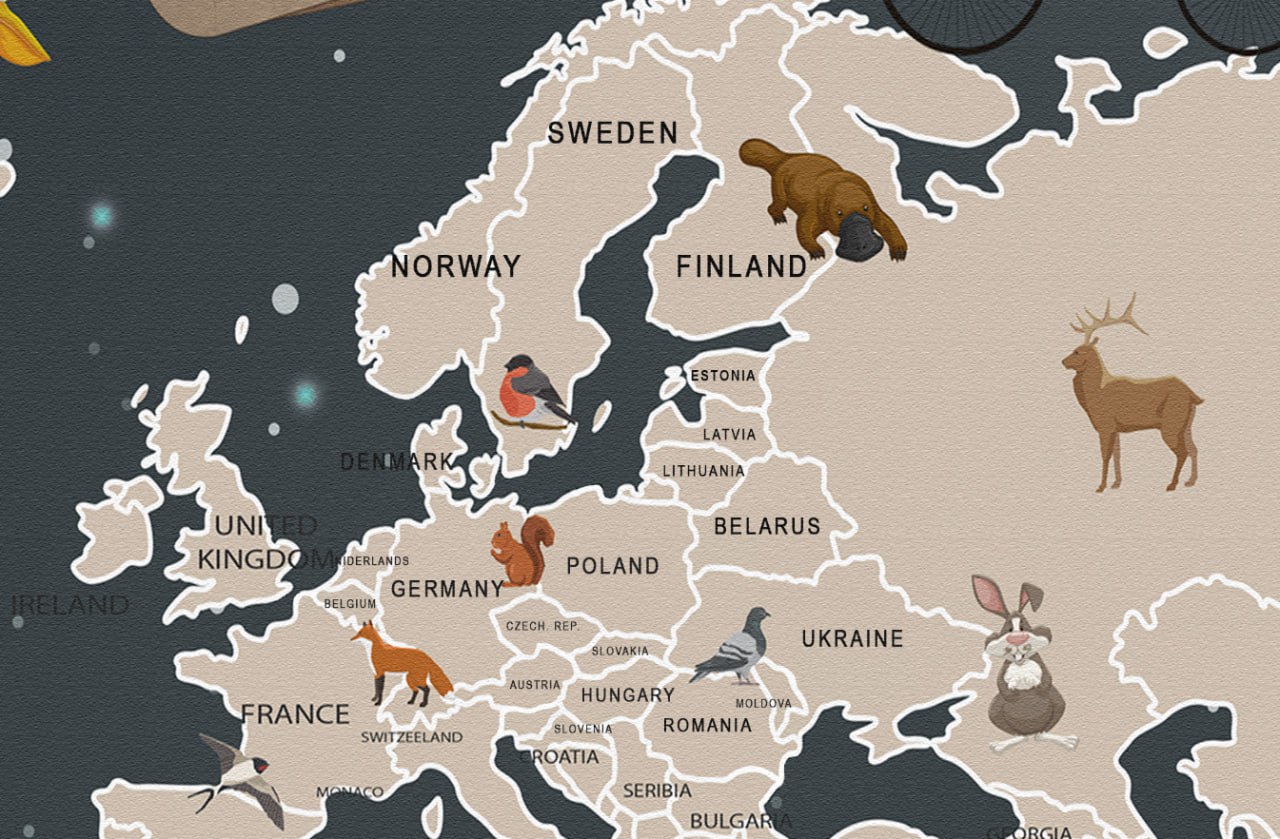 Starry Sky World Map – Scandicbee