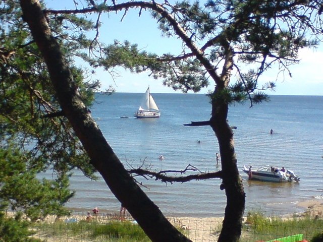 Galerii – Kauksi puhkeküla