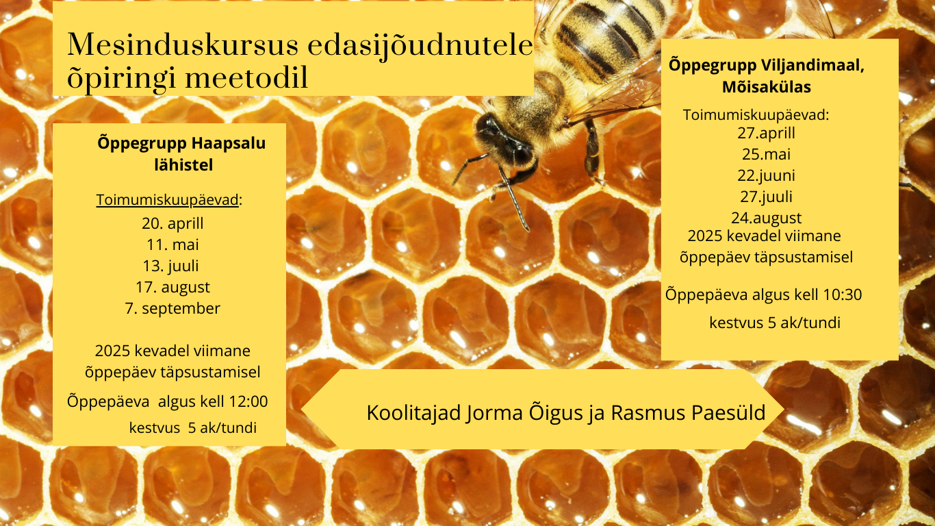 Mesinduskursus - ABC edasijõudnutele õpiringi meetodil – Mesilaspere