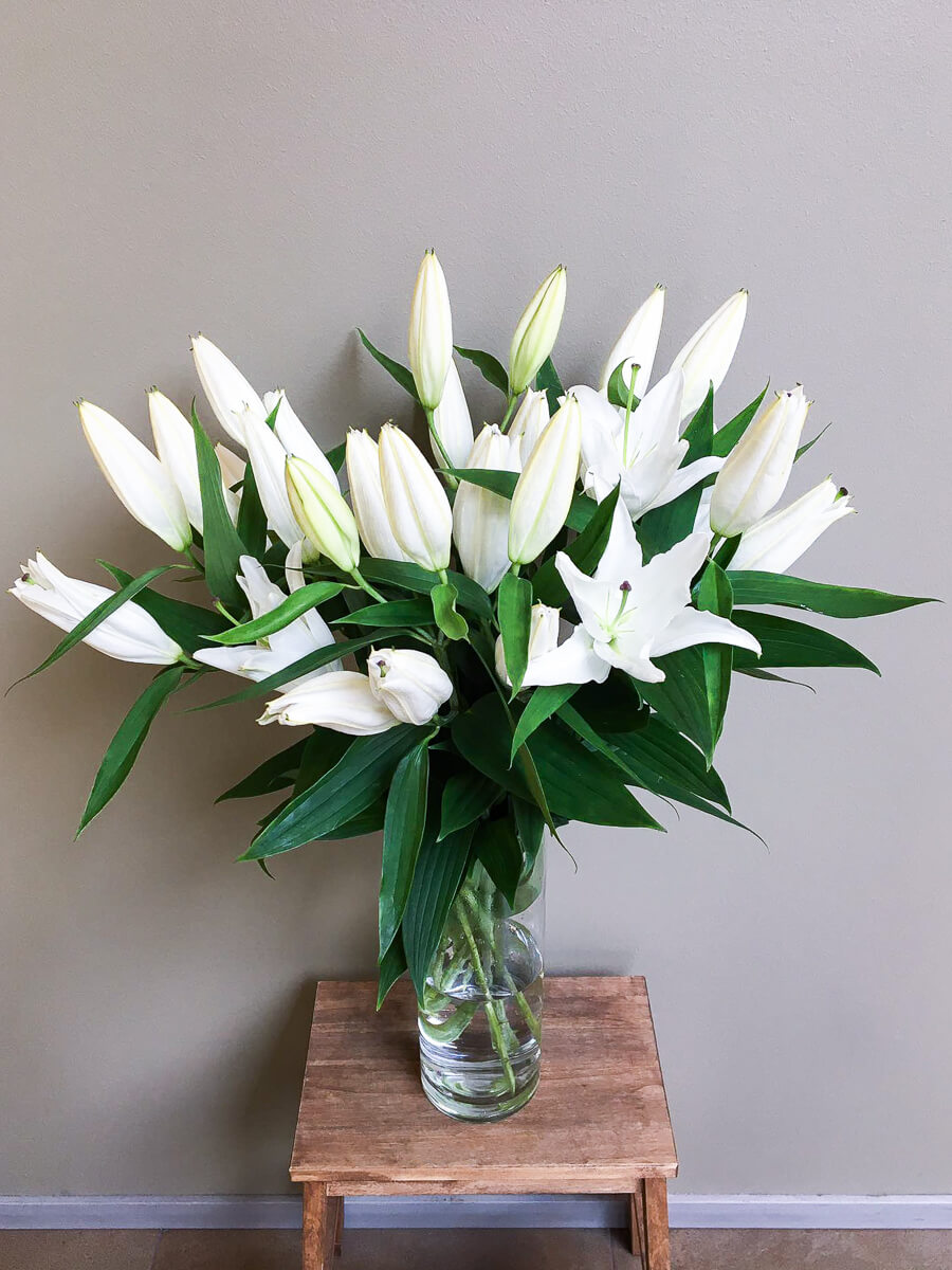 LIILIA (erinevad värvid) 7.00€ | Lillerand e-pood | Lille- ja kingipood ...