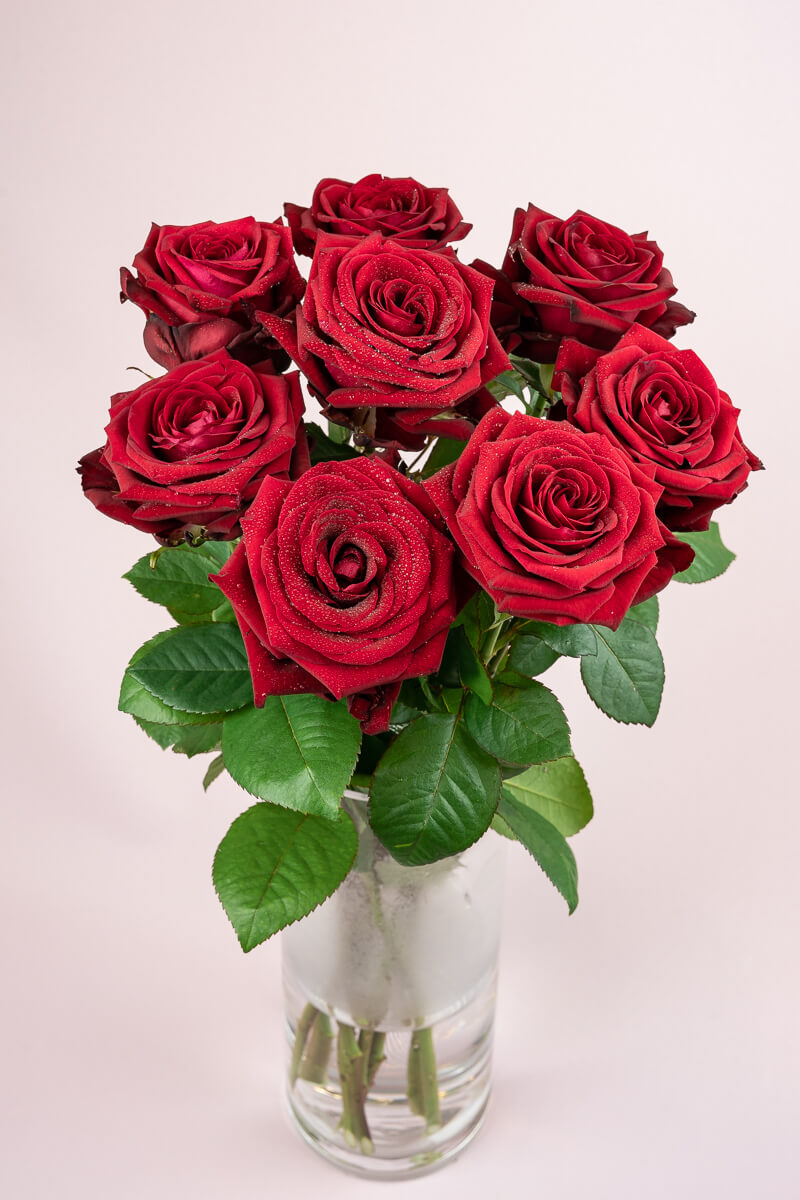 PUNANE ROOS 5.00€ | Lillerand e-pood | Lille- ja disainistuudio Haapsalus