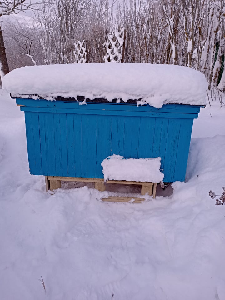 MESINDUS – Aiatark