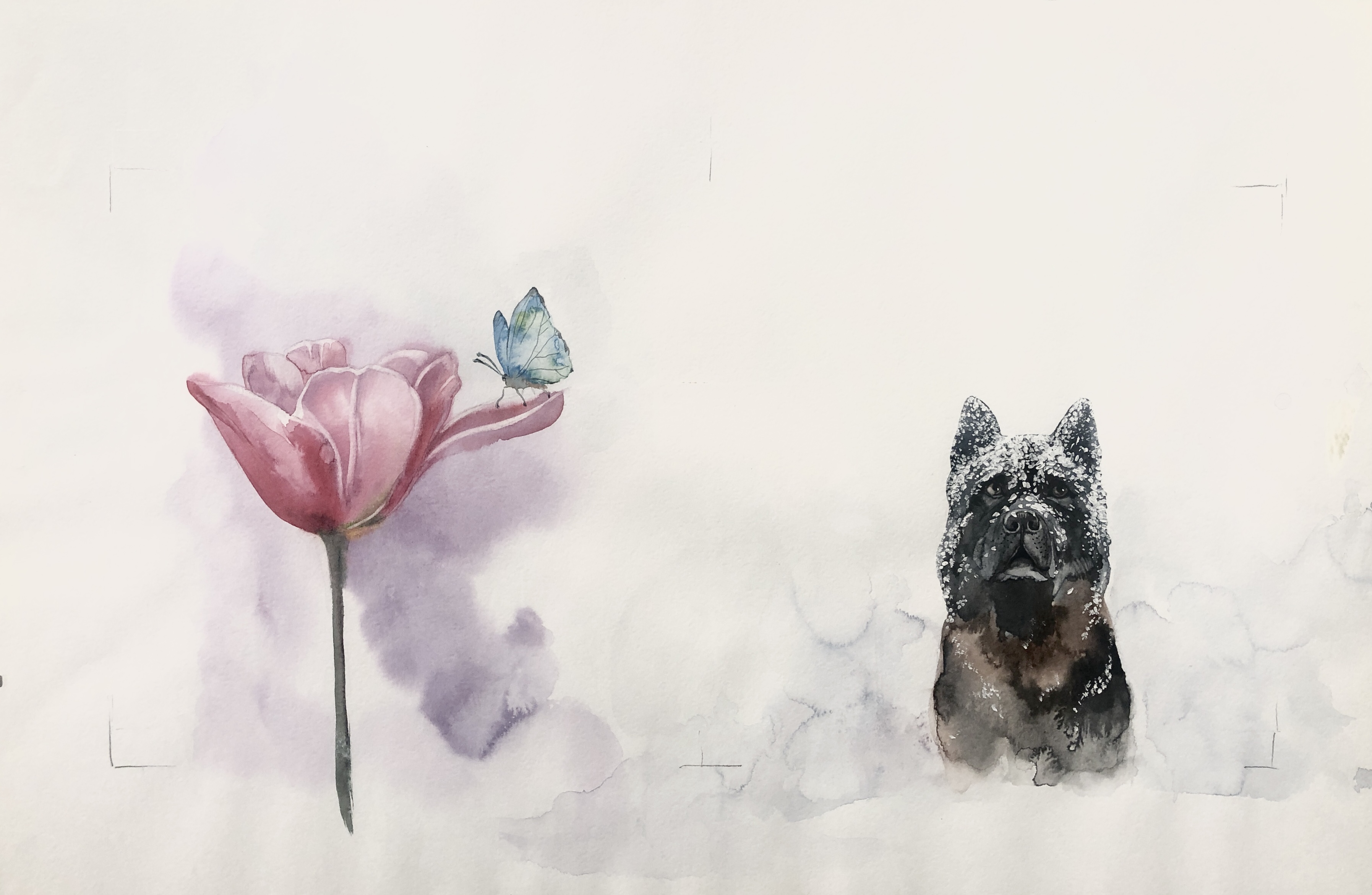 Mustikas ja tulp 498€ – Karud ja Pojad