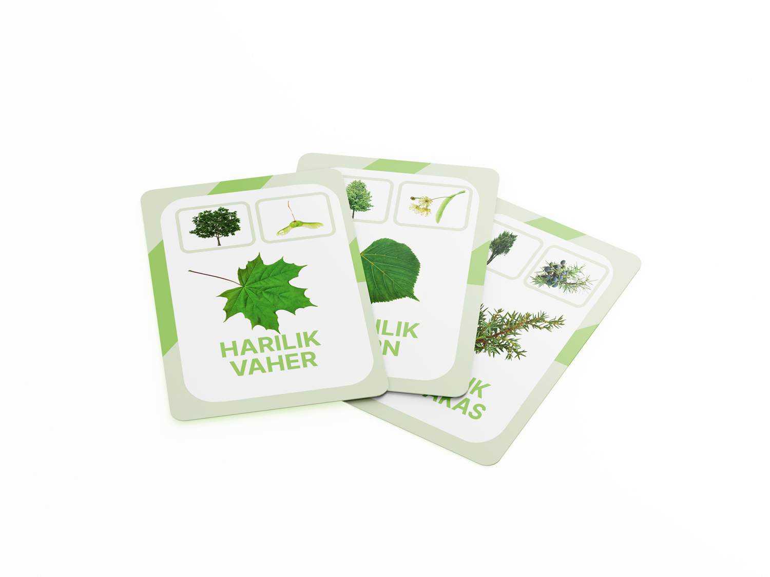 EESTI PUUD – Nupu- Arendavad mänguasjad lastele