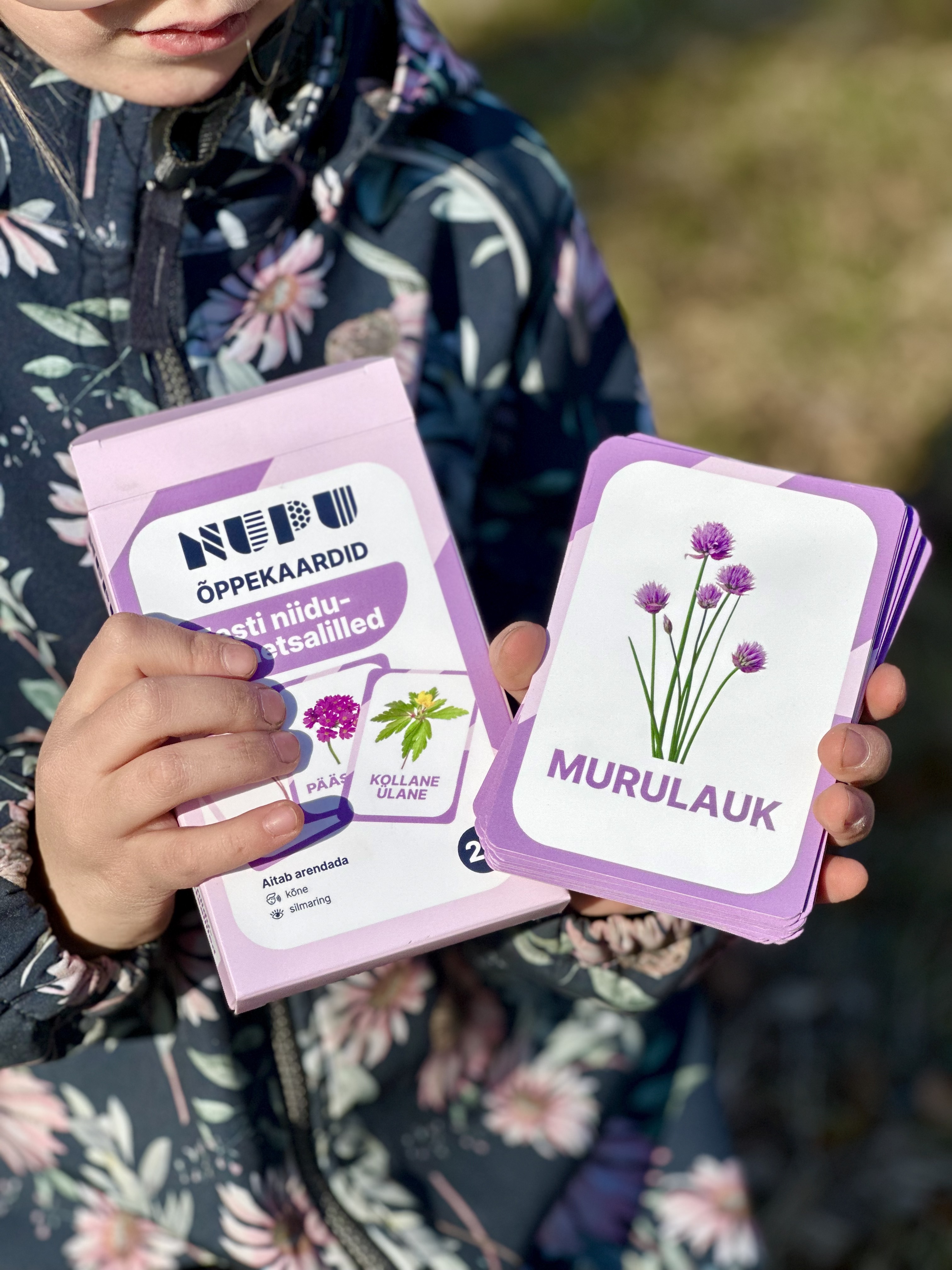 Nupu- Arendavad mänguasjad lastele
