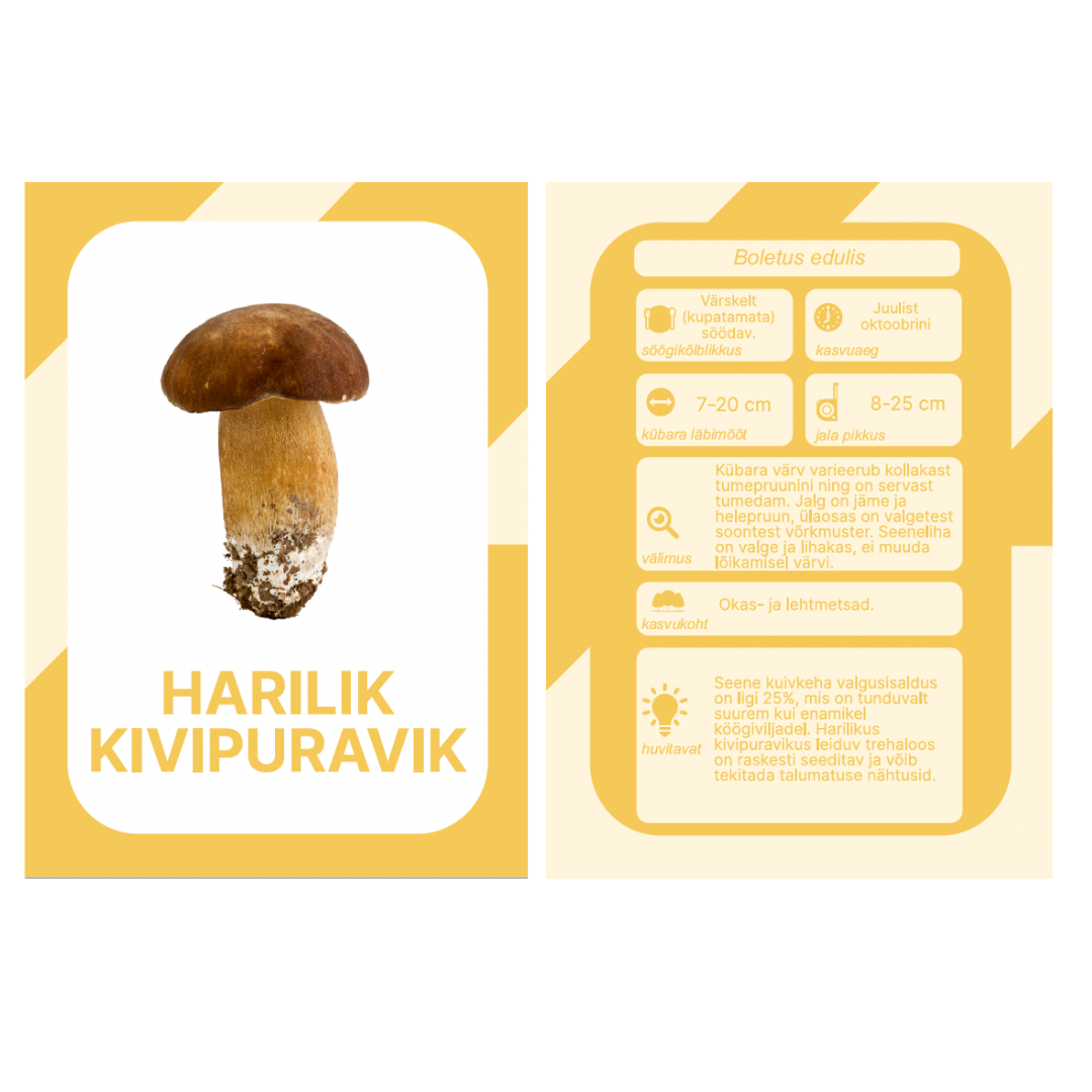 EESTI SEENED – Nupu- Arendavad mänguasjad lastele