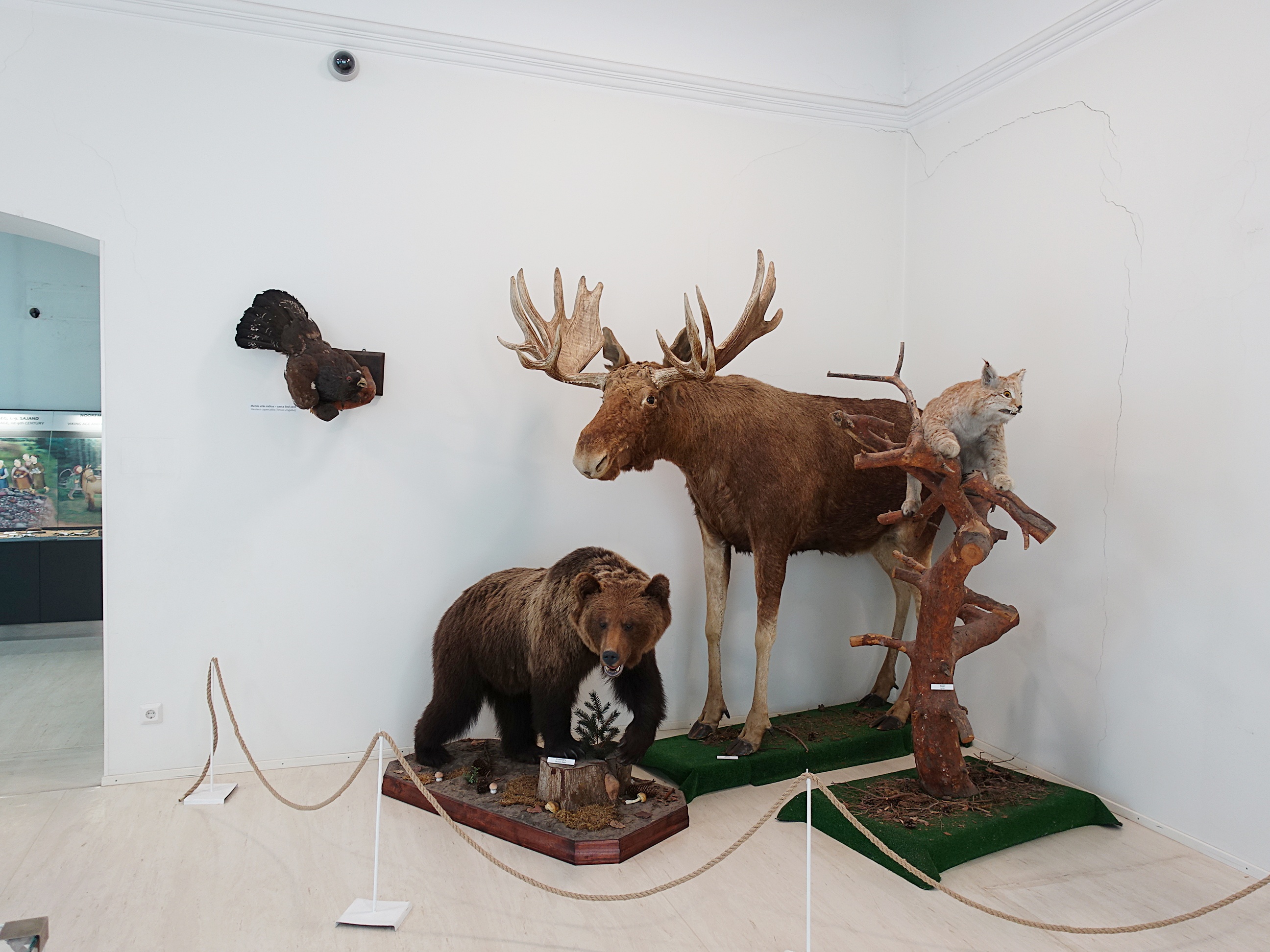 Edith Karlson x Viljandi Muuseum – PROLOOGKOOL