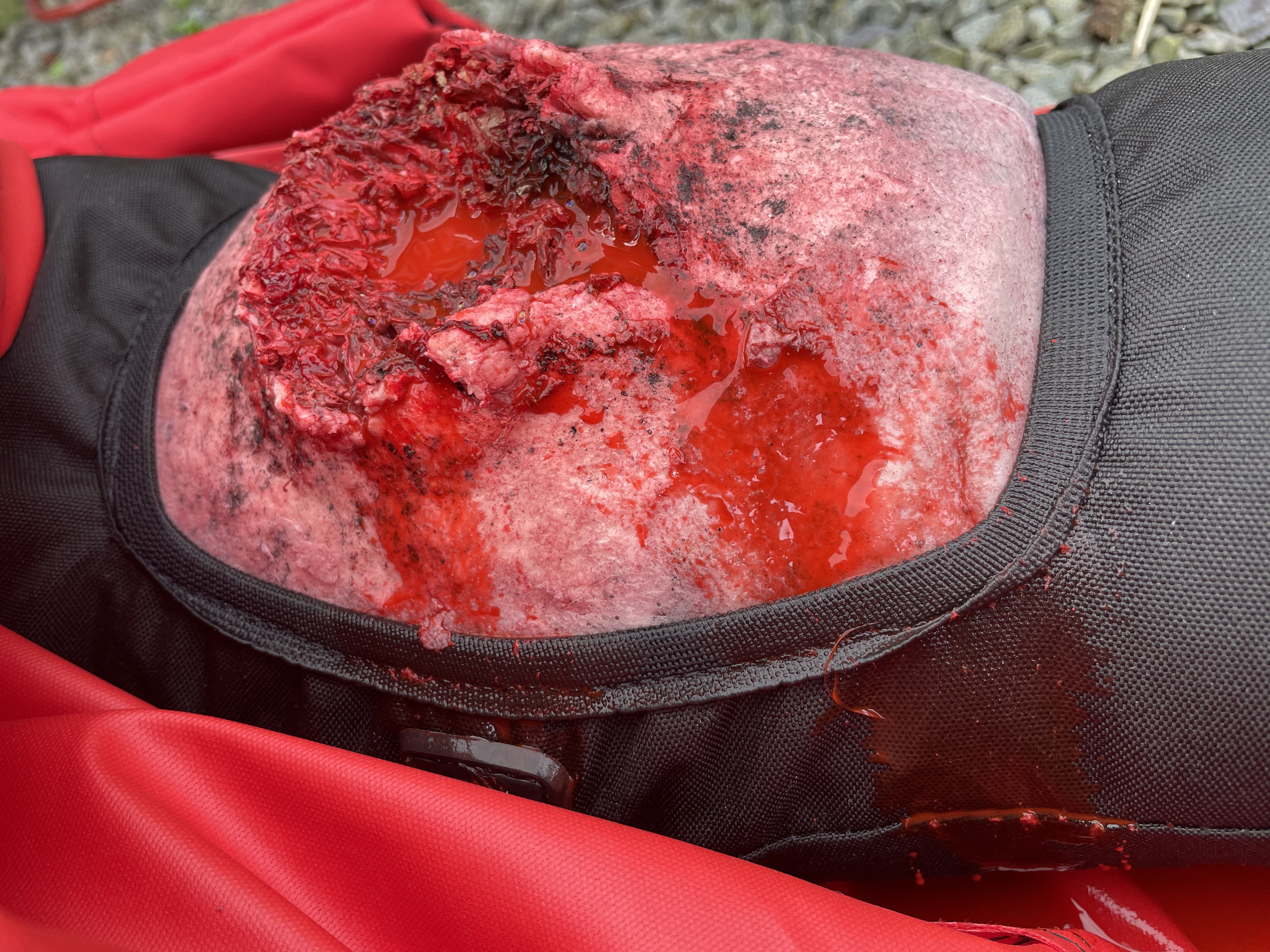Trauma Rescue Manikin | Ruth Lee – Mohni