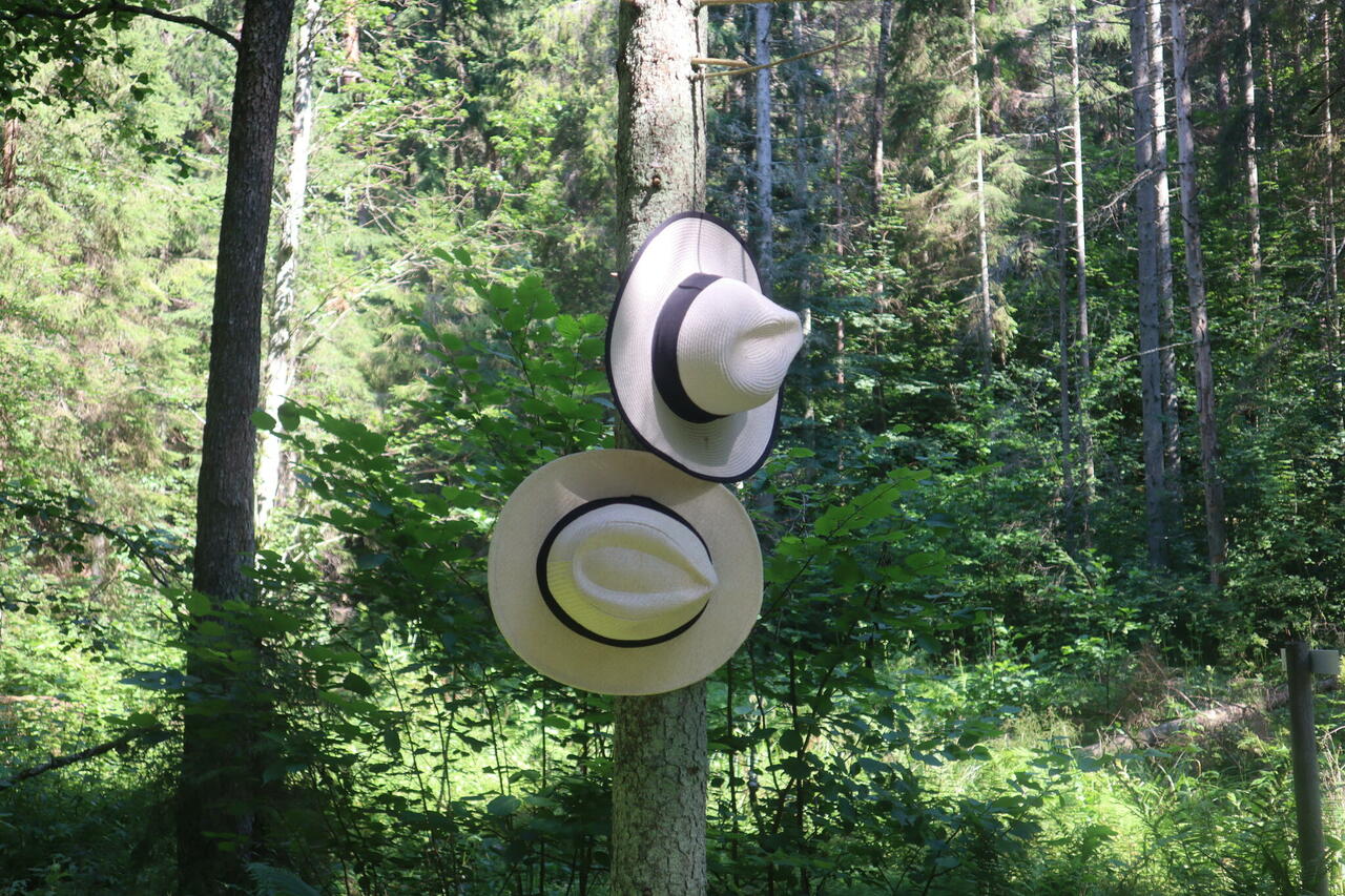 Blogi "TARAPITA TARKUS" – Peatee