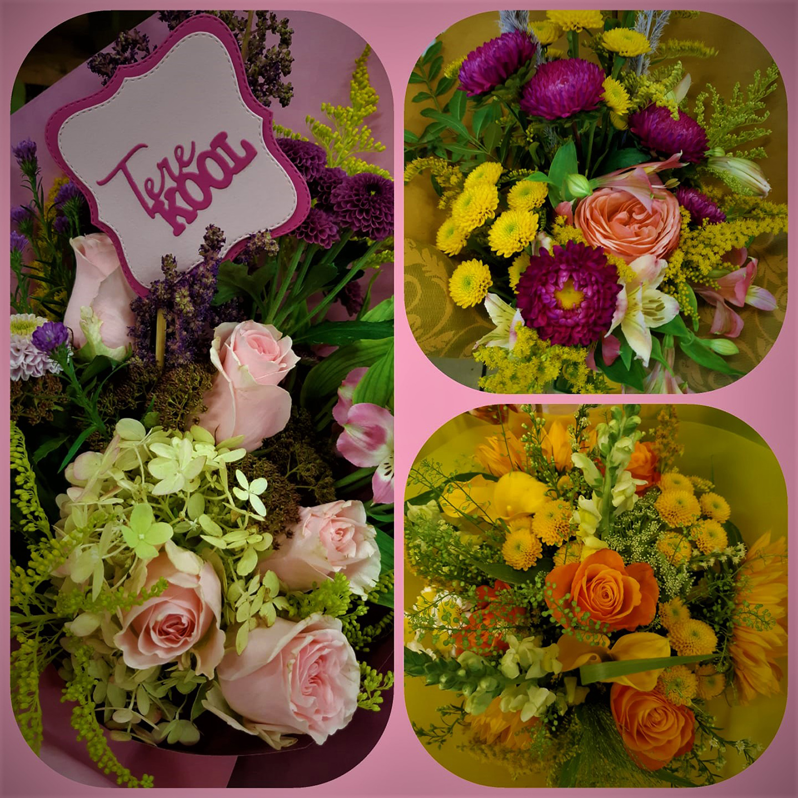 Galerii. Teemu Lilleäri Viljandis ja Viljandimaal – Teemu Lilled