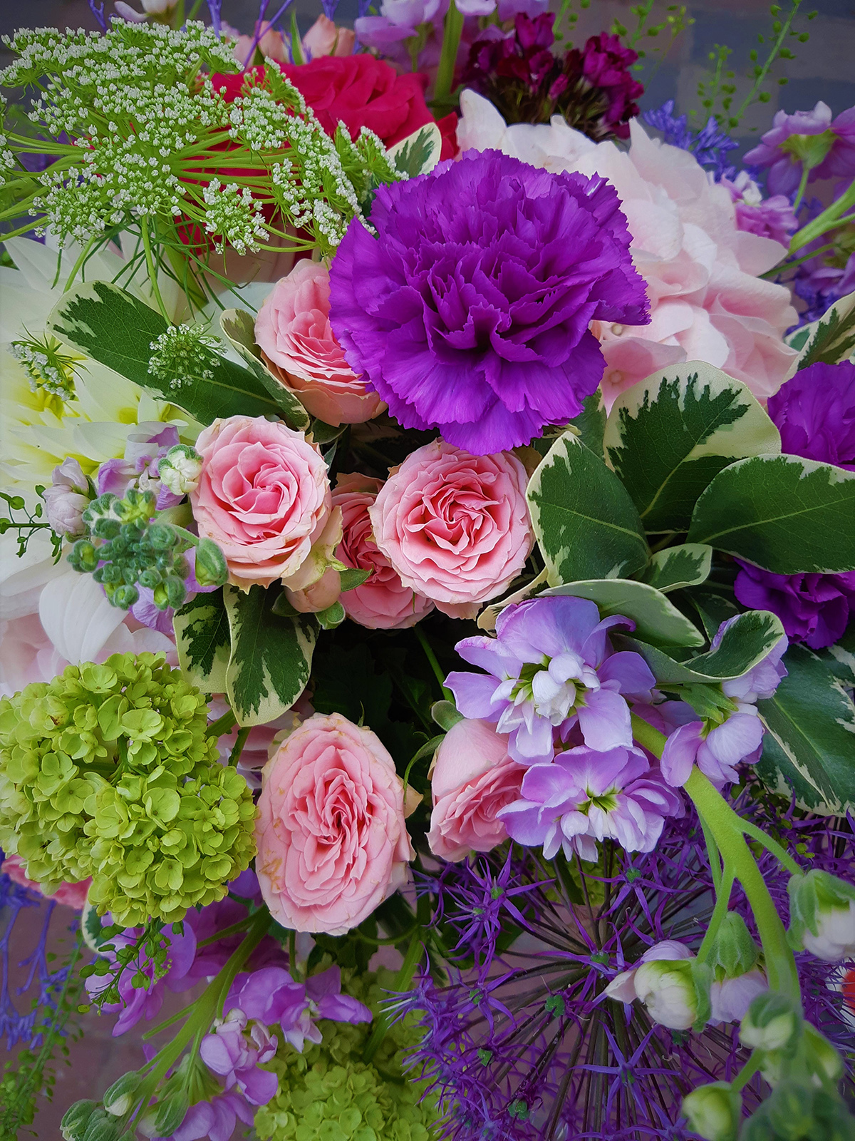 Galerii. Teemu Lilleäri Viljandis ja Viljandimaal – Teemu Lilled