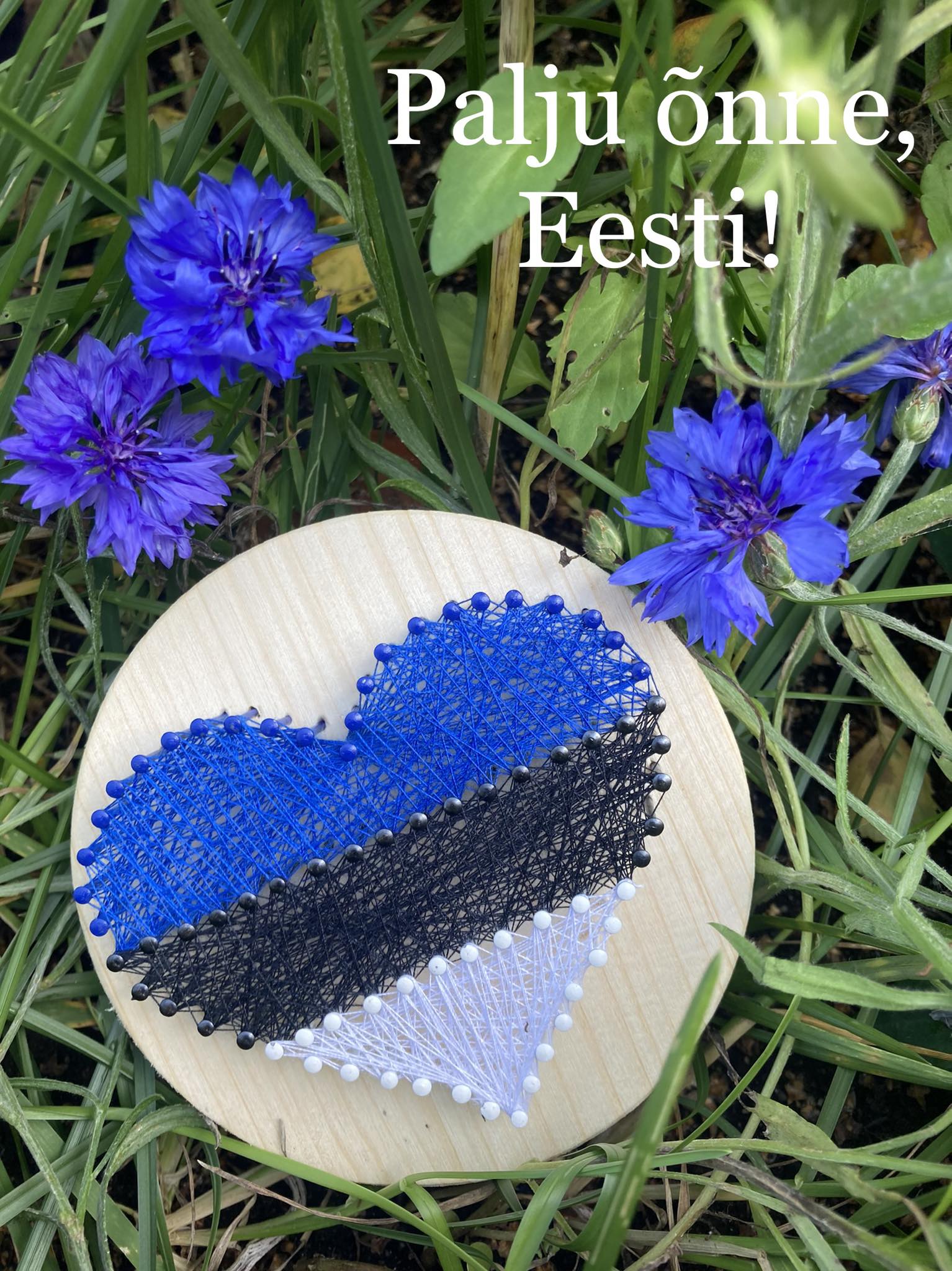String art Gallery | Party Supplies, String Art & Paber Art - Dellwood DIY