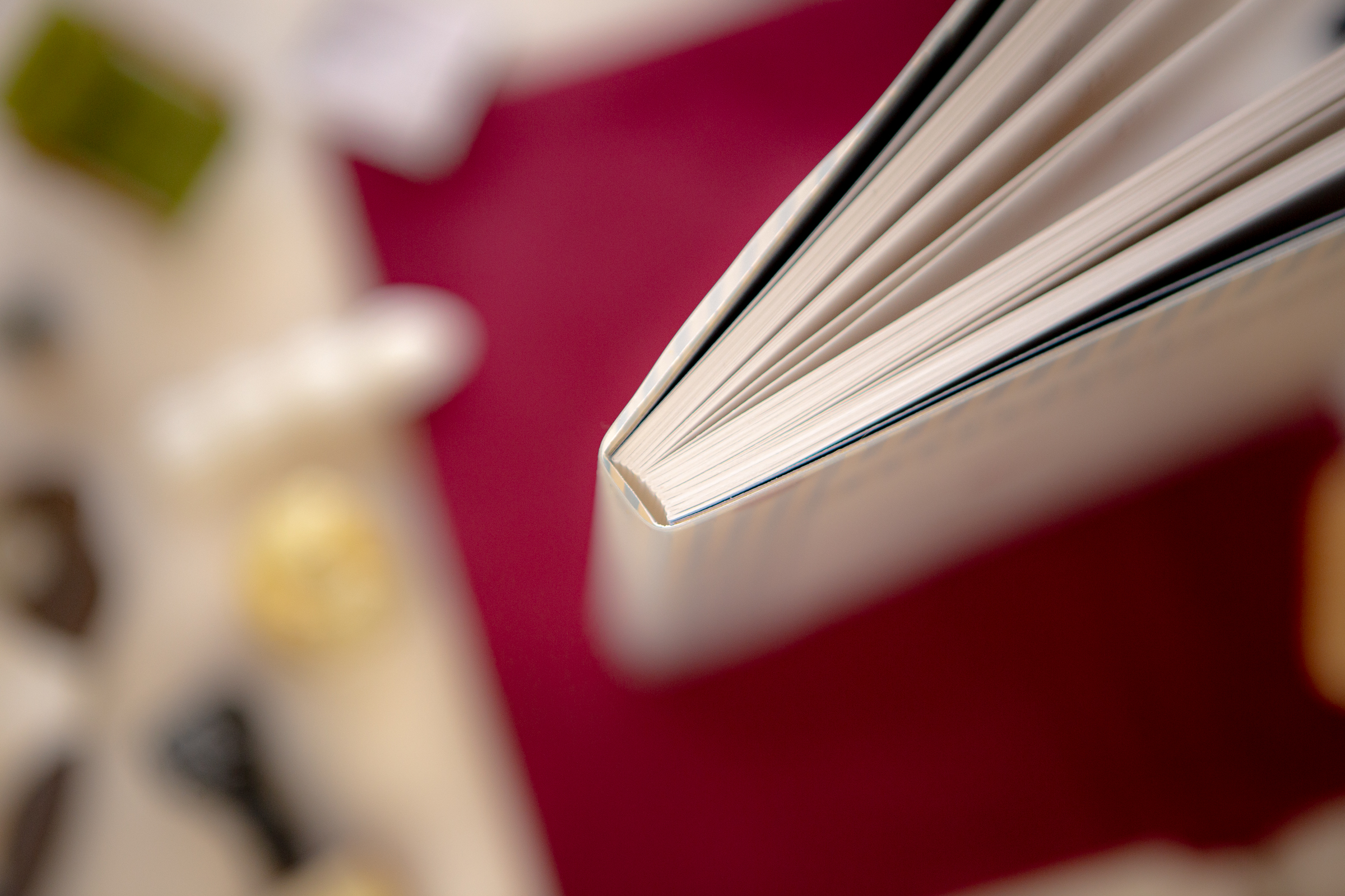 OURS 2026 Research Project Journal [the Fortune] – Jonna Studio