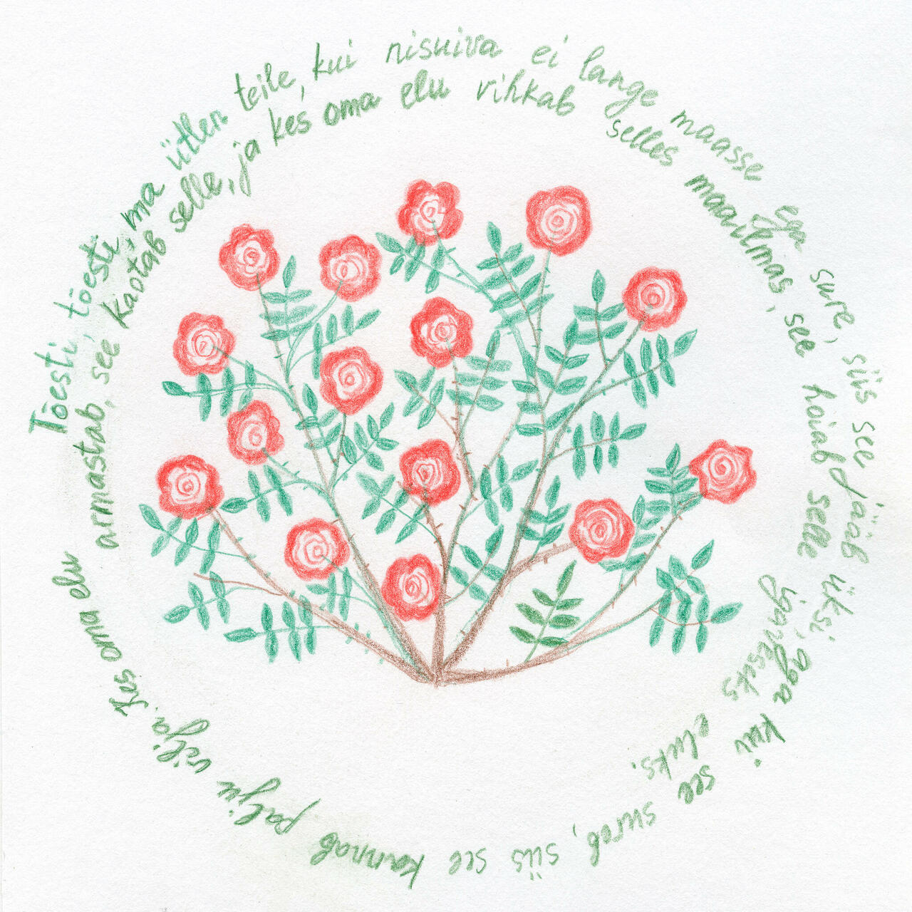 Esileht – Roosipuu