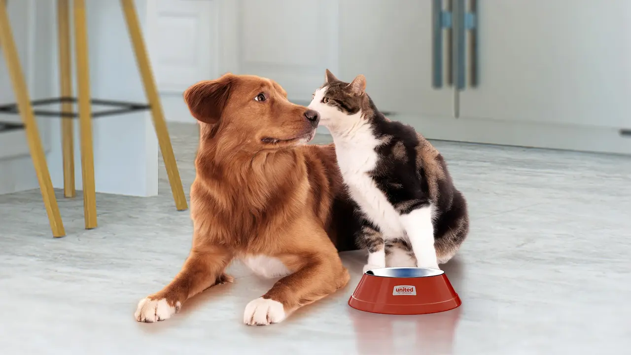 HOME – United Pet Brands