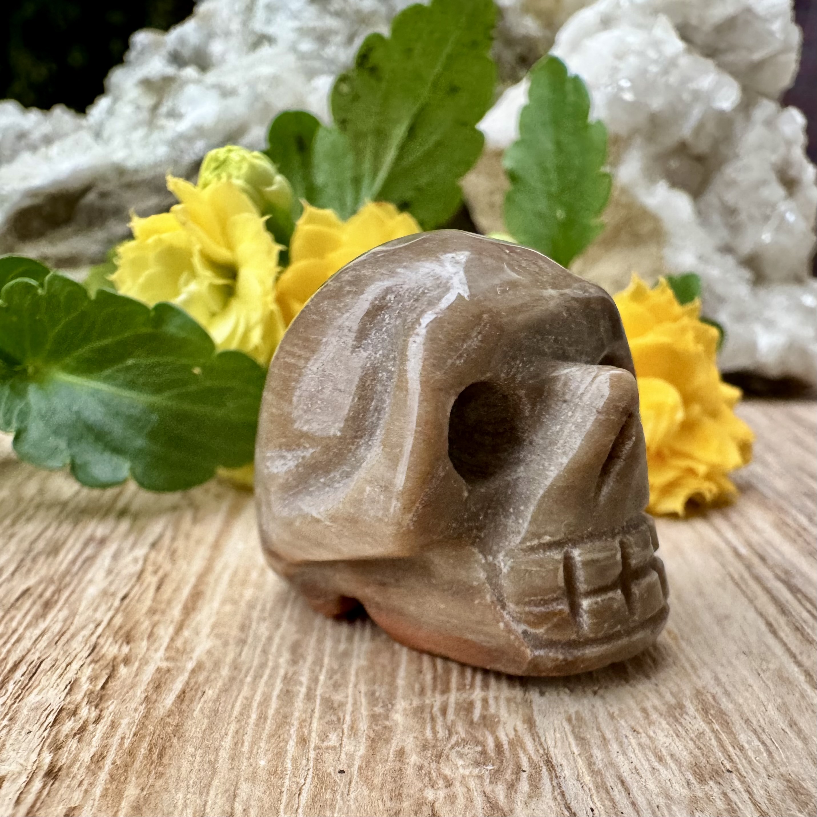 MOOKAITE pealuu (30x23mm) – KRISTALLIMAAILM